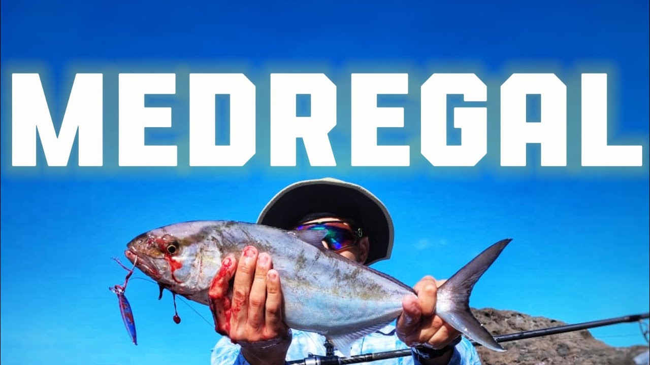 Medregal a Spinning⚡️🤘 - YouTube