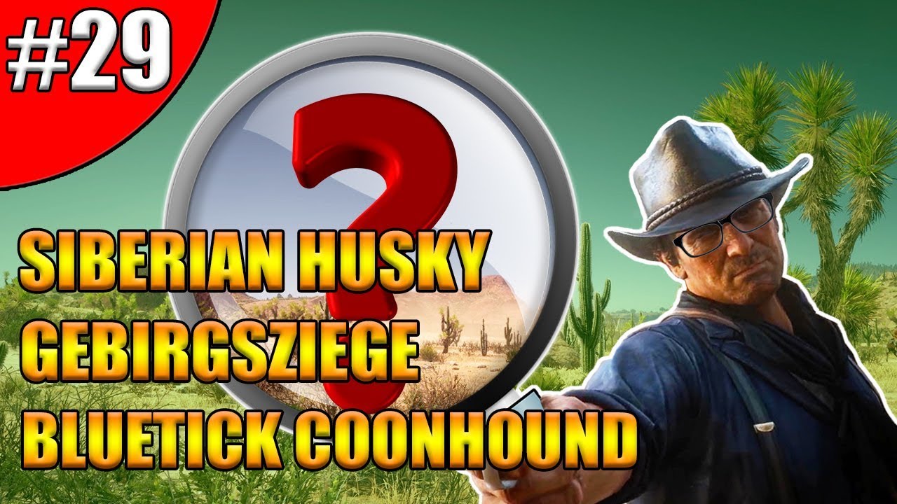 Siberian Husky | Gebirgsziege | Bluetick Coonhound - RDR2 Zoologe ...