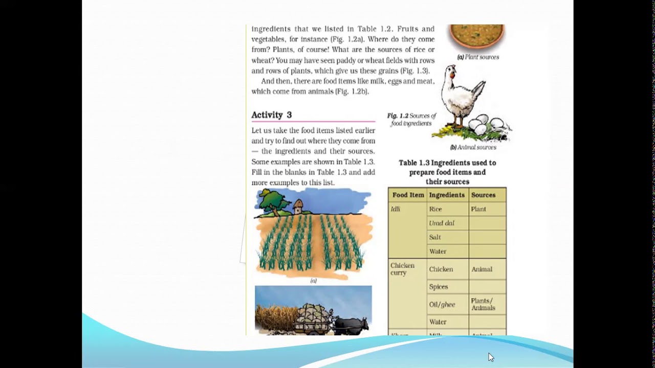 NCERT | Class 6: Science Lesson 1 - YouTube