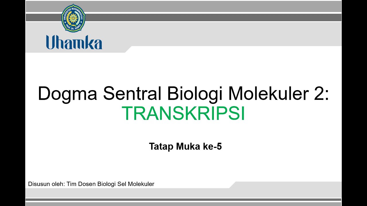 DOGMA SENTRAL BIOLOGI MOLEKULER 2 TRANSKRIPSI | FFSUHAMKA 2020 - YouTube
