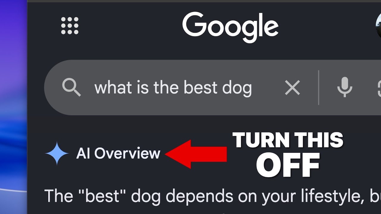 How to TURN OFF AI Overview in Google Chrome Search Results - YouTube
