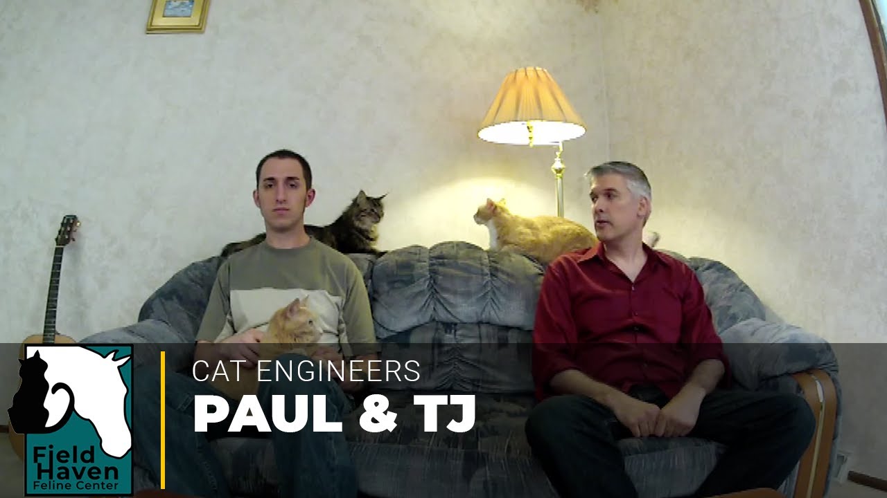 Paul and TJ: Cat Engineers || FieldHaven Feline Center - YouTube