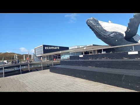 ECOMARE aquarium, museum & seals sanctuary in TEXEL Island Netherlands ...