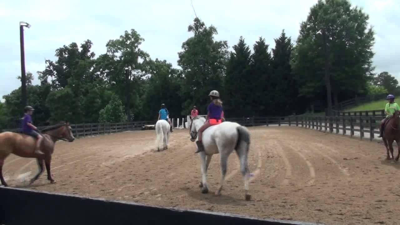 The Equestrian Reserve Dances with Horses - YouTube