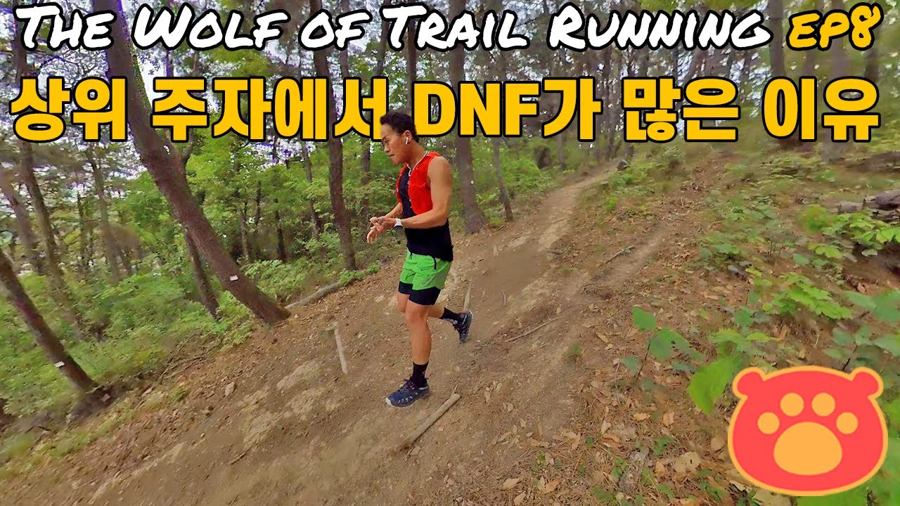 상위 주자에서 DNF가 많은 이유_The Wolf of Trail running EP8 - YouTube
