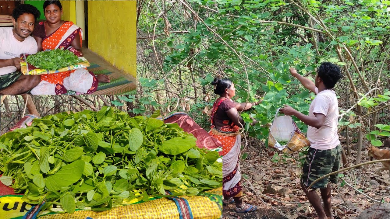Wild Vegetable | cooking and eating wild vegetable | - YouTube