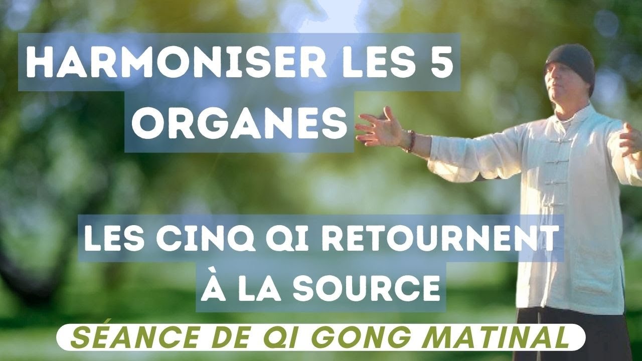 Séance de Qi Gong matinal: Les cinq Qi retournent à la source ...