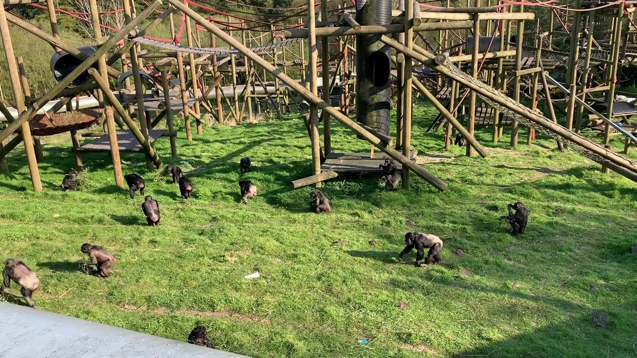 Hananya's Having an Evening in the Sun Eating Browse - YouTube