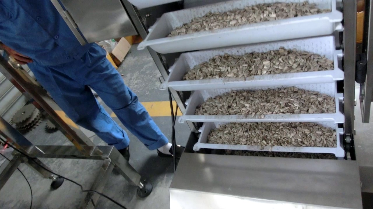 Z type Bucket Elevator & Belt Conveyor - YouTube