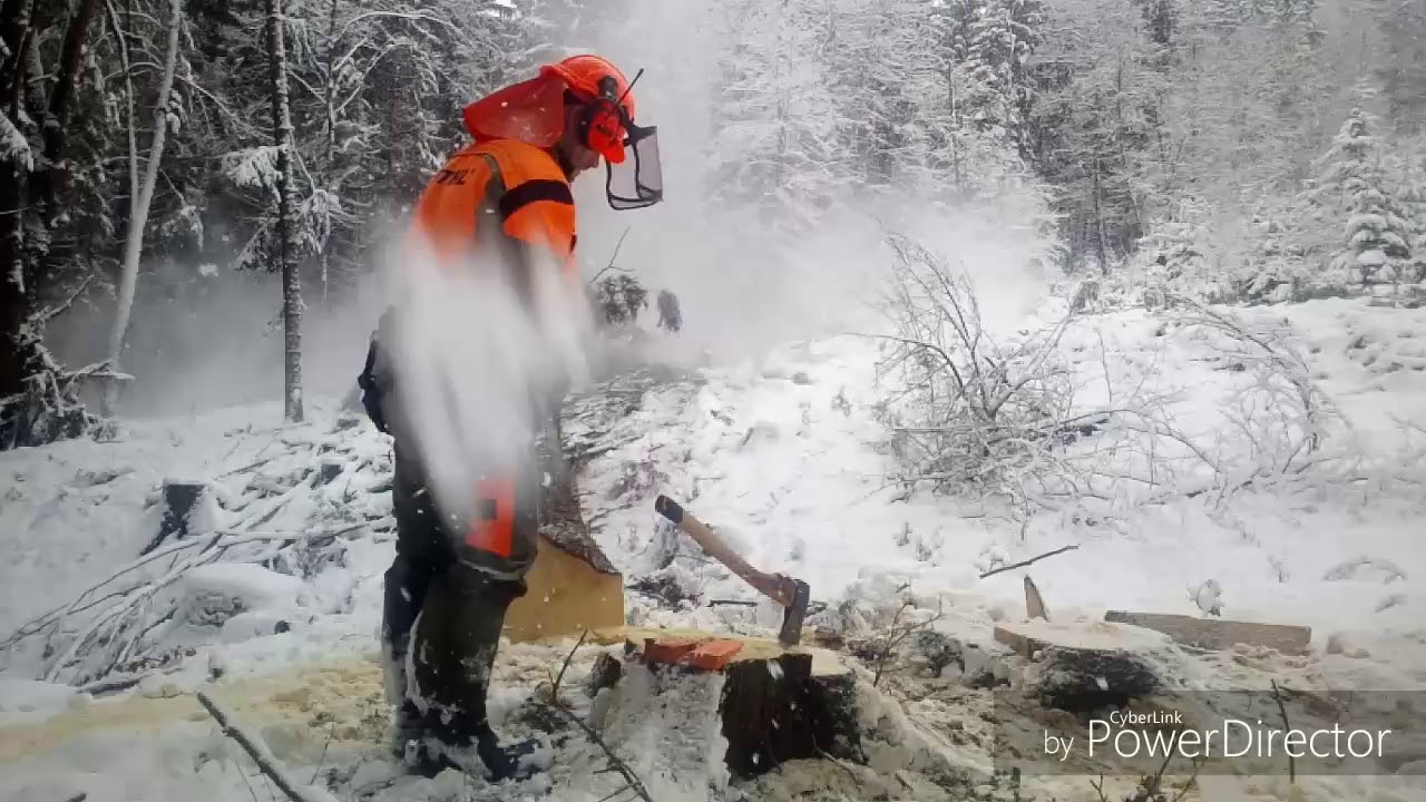 Working in forest, 59-2019, Im wald arbeiten, Práce v lese 🇨🇿 - YouTube