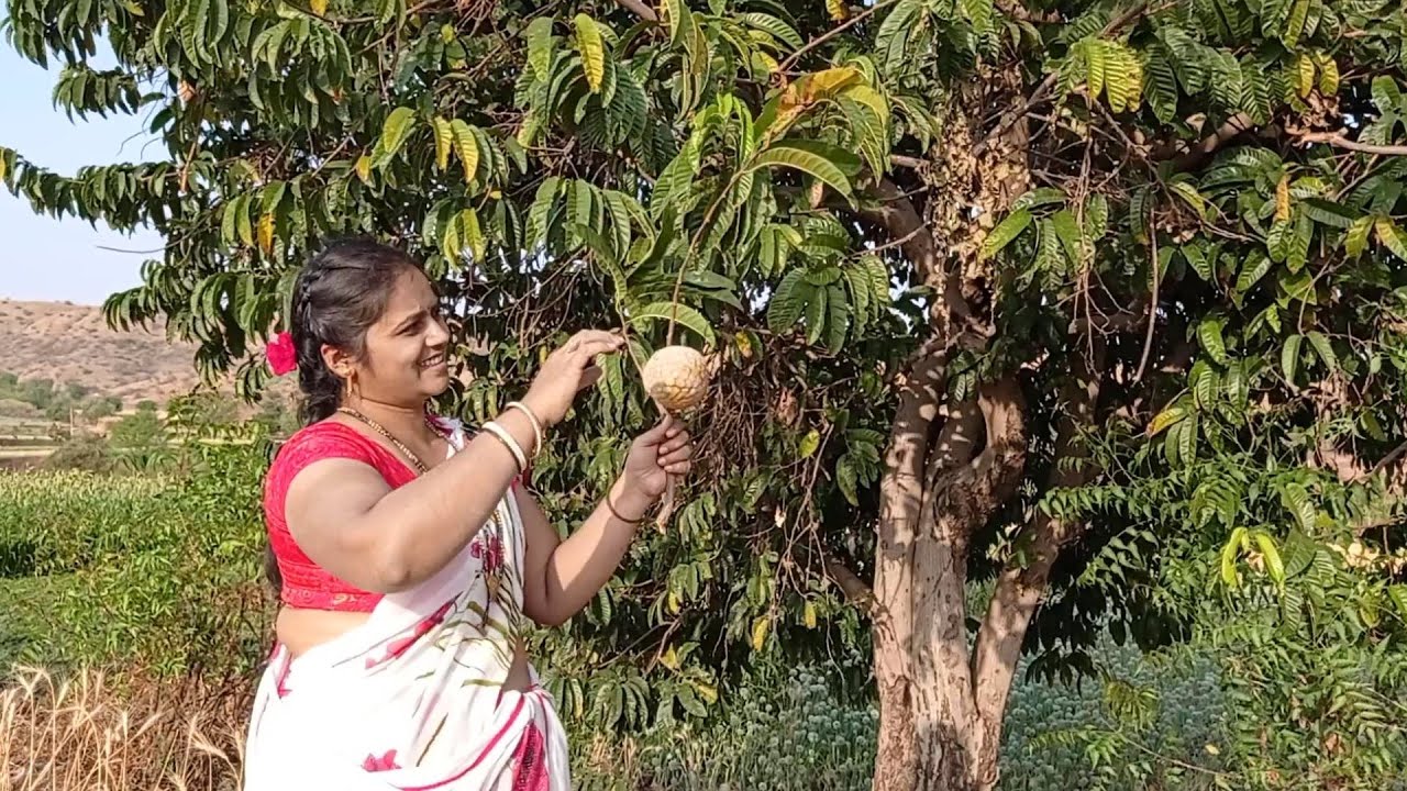 Have you ever seen this fruit in your country | Wild Fruit picking and ...