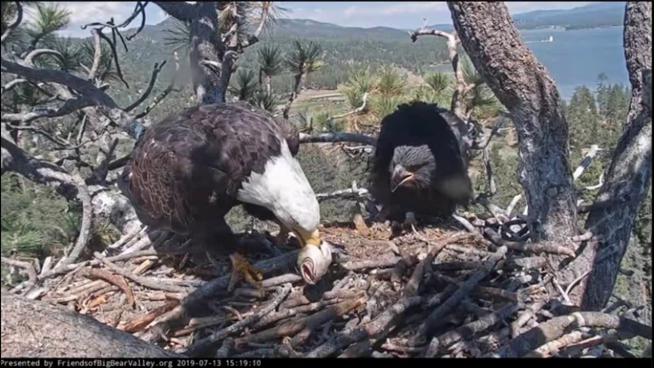 Simba, Mom & Dad - Fish Fest - Best Fishing Day Ever - Big Bear Bald ...