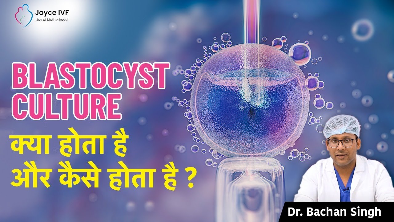 Blastocyst Culture kya hota hai ? | 💹 Blastocyst Embryo Stage | IVF and ...