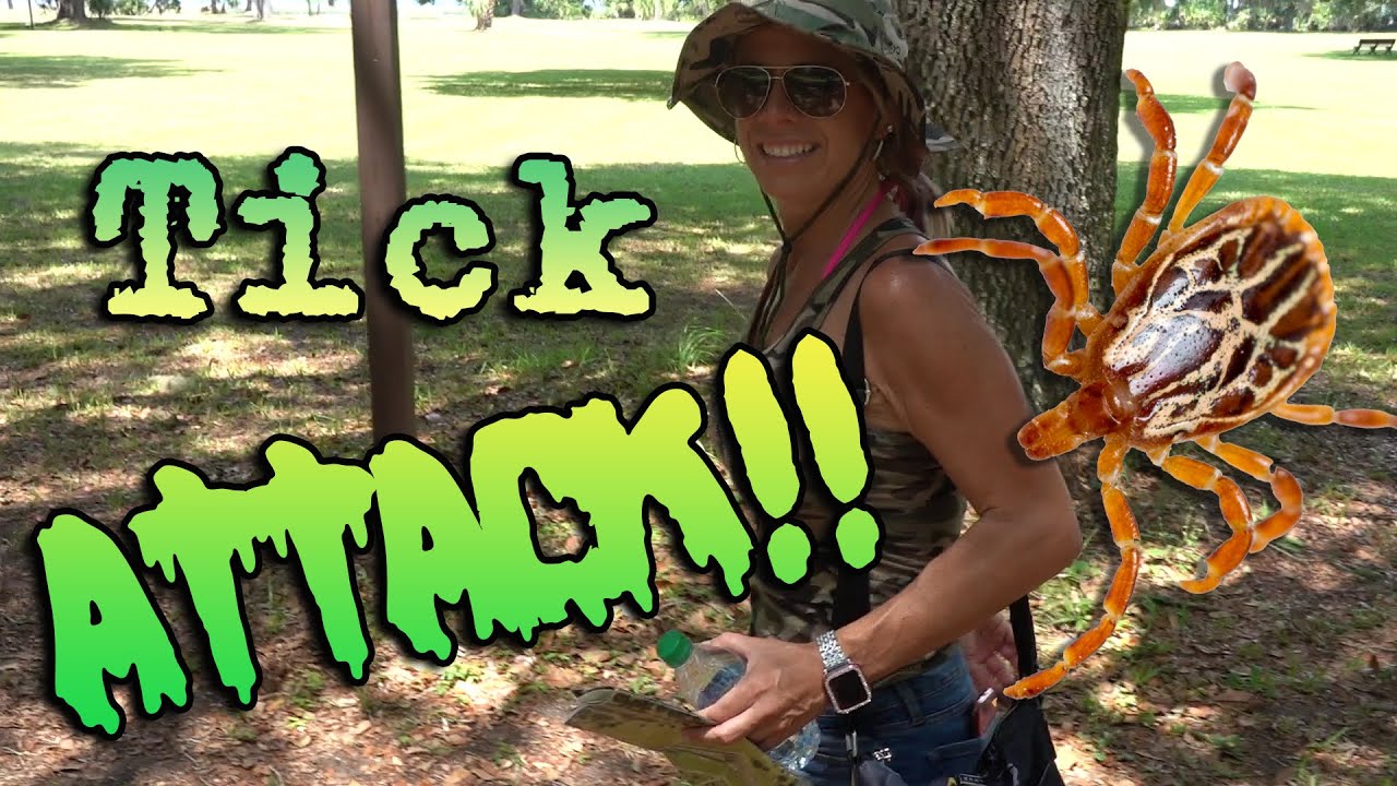 Exploring Georgia and avoiding ticks! - YouTube