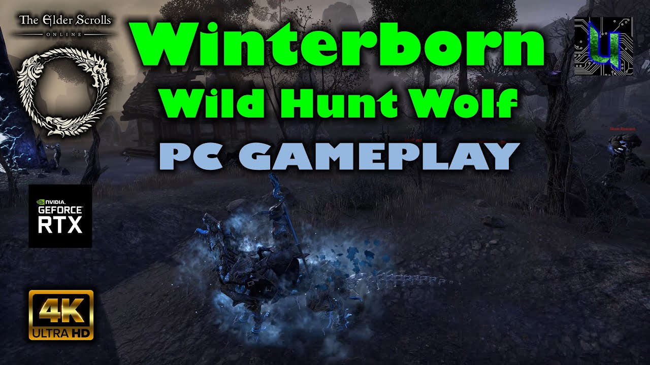 Elder Scrolls Online: Winterborn Wild Hunt Wolf - PC Gameplay - 4K ...