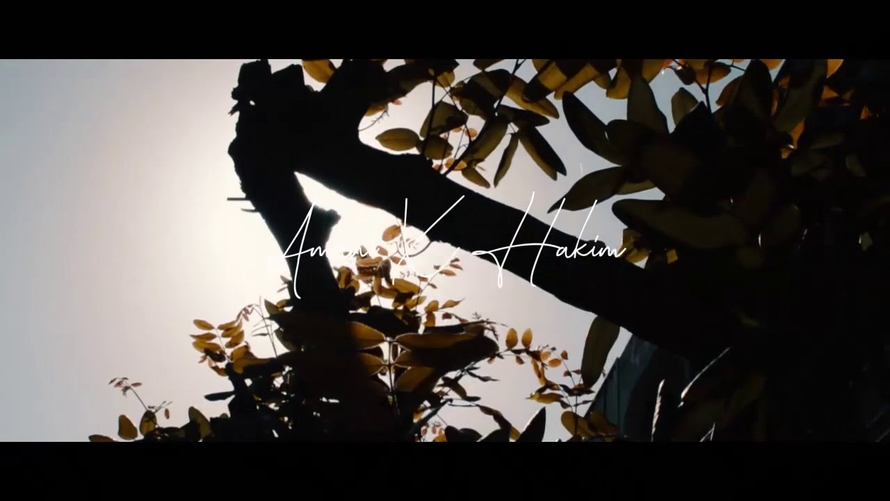 Wedding Amani X Hakim - YouTube