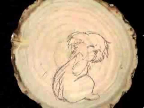 Goodbye Little Koala No Tree No Me - YouTube