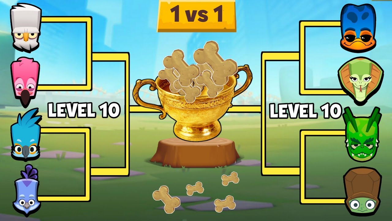 Which Character going to win that Biscuit Trophy | Zooba - YouTube