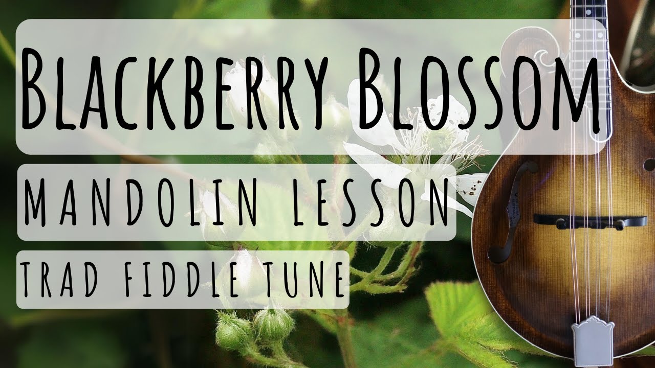 Blackberry Blossom: Mandolin Lesson - YouTube