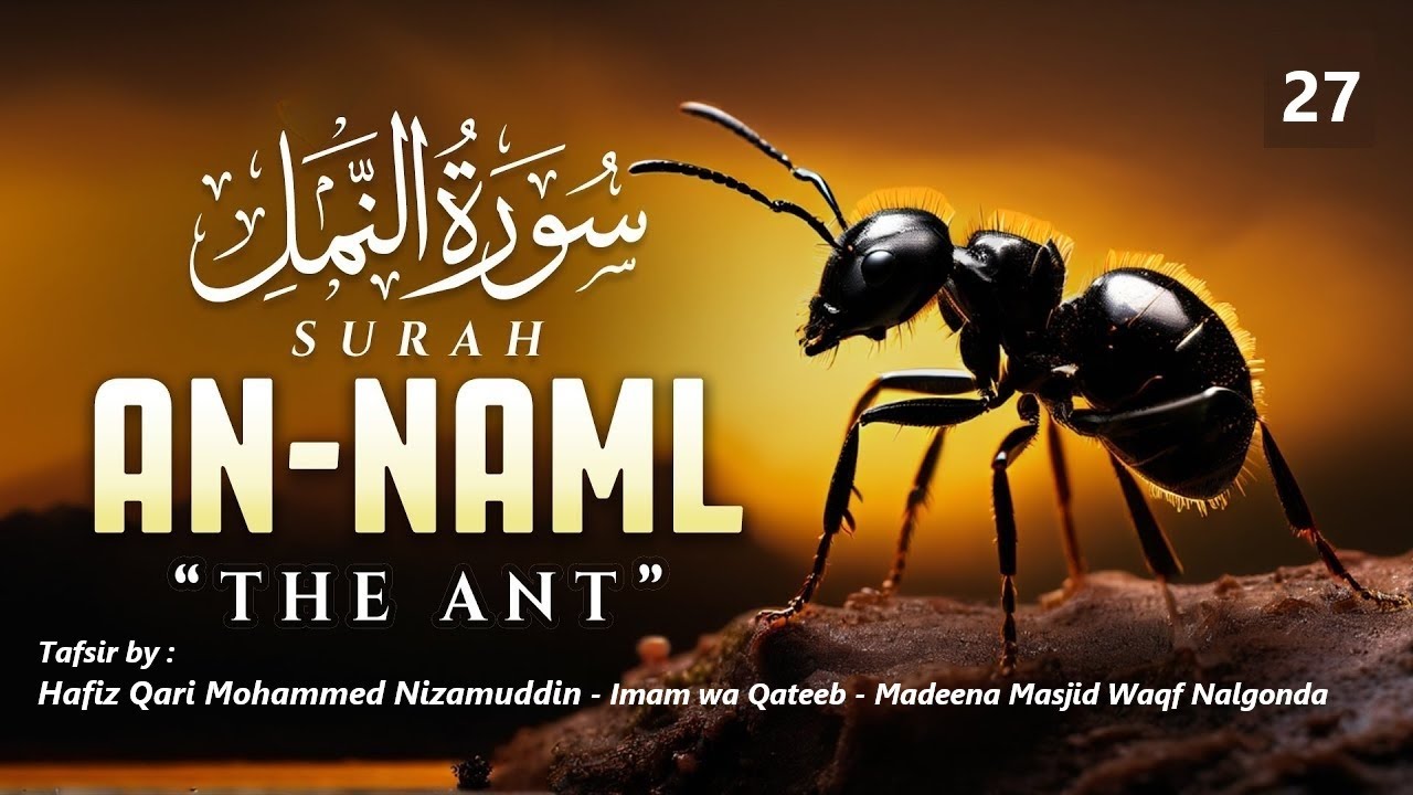 Tafseer e Quran:Surah An Naml[27:10-14]|Hafiz Qari Mohammed Nizamuddin ...