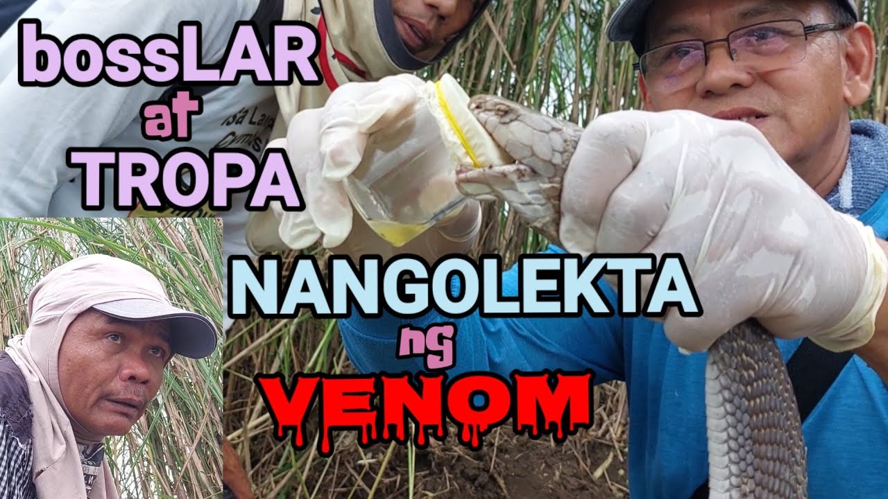 BOSS LAR AT TROPA NANGOLEKTA NG VENOM - YouTube