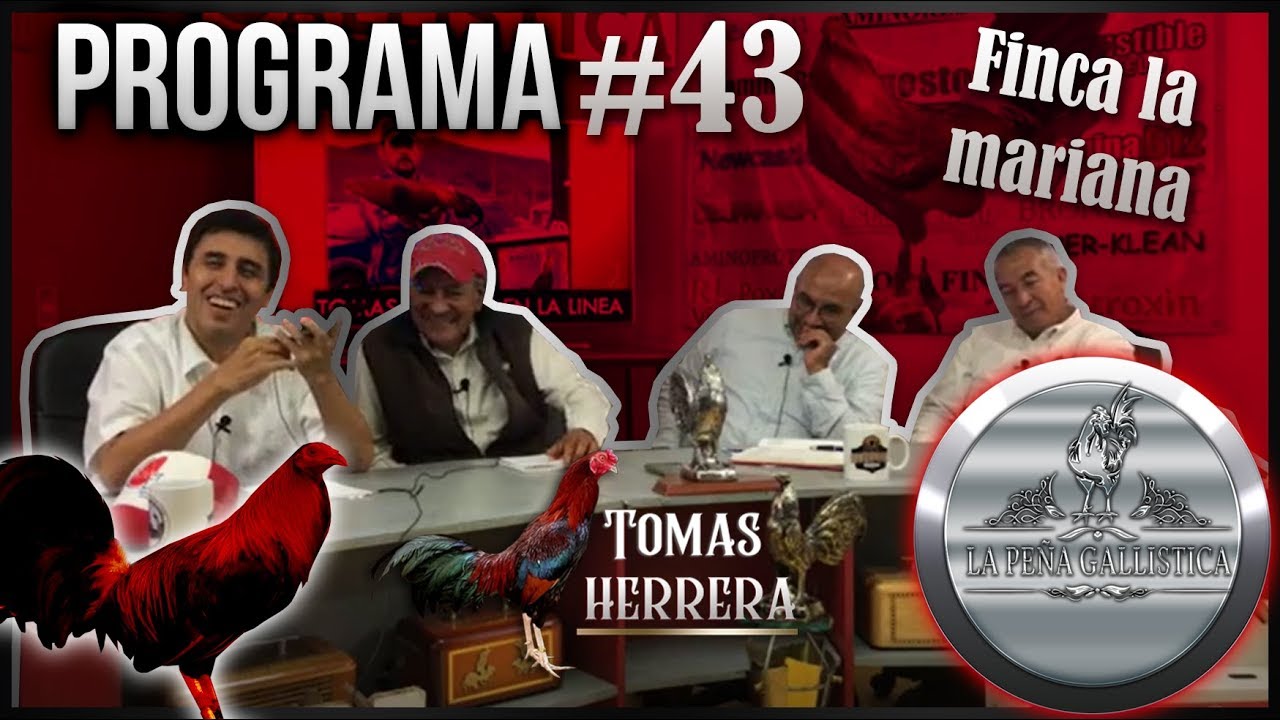 PROGRAMA 43- THOMAS HERRERA Y FINCA LA MARIANA - YouTube