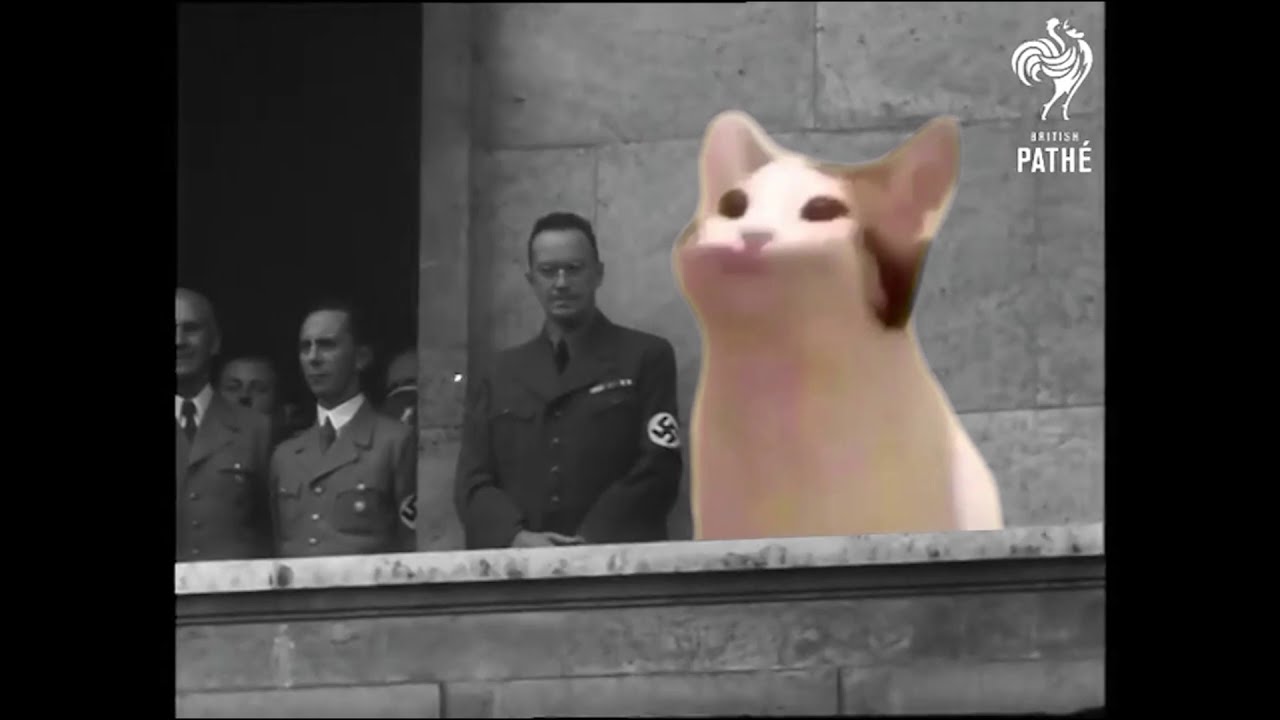 Pop Cat Hitler - YouTube