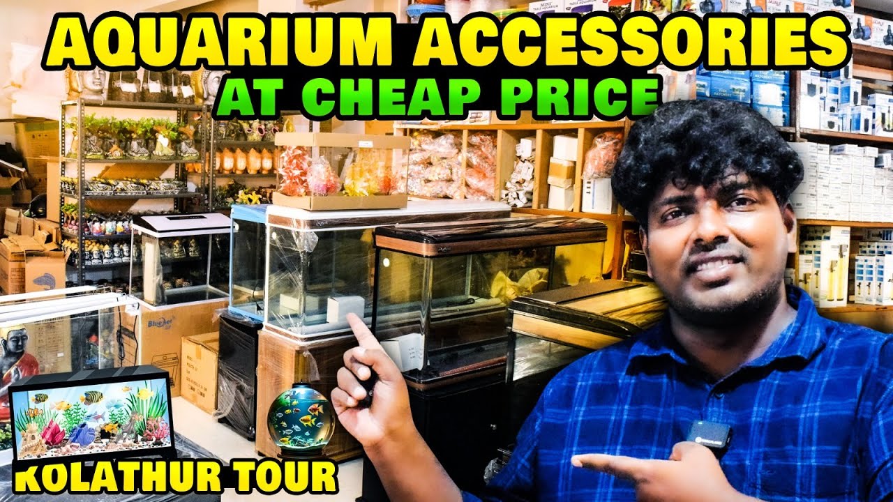 Cheapest Aquarium accessories shop in Kolathur Aquarium Fish Market ...