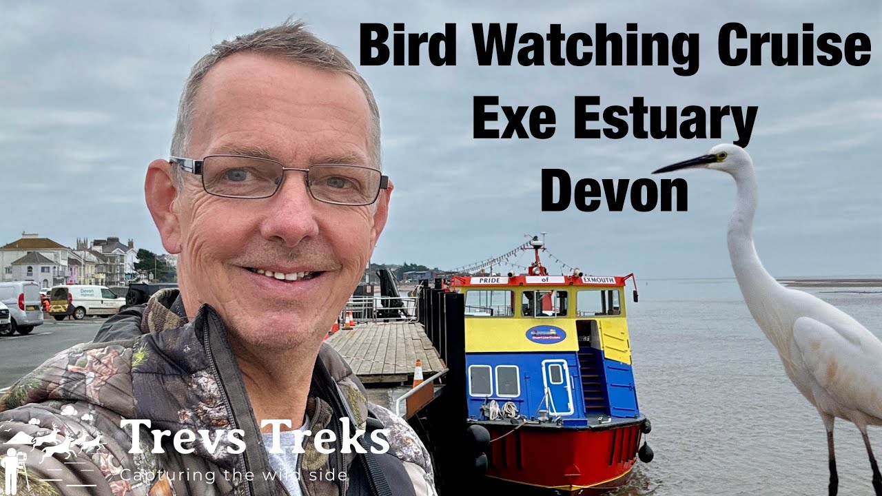 Bird watching cruise Exe Estuary Devon. Stuart Line Cruises Wildlife ...
