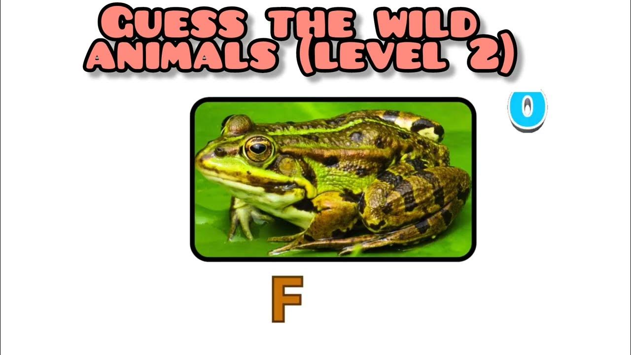 Can You Guess the Wild Animal? (Level 2 for Kids)@MyQuizify - YouTube
