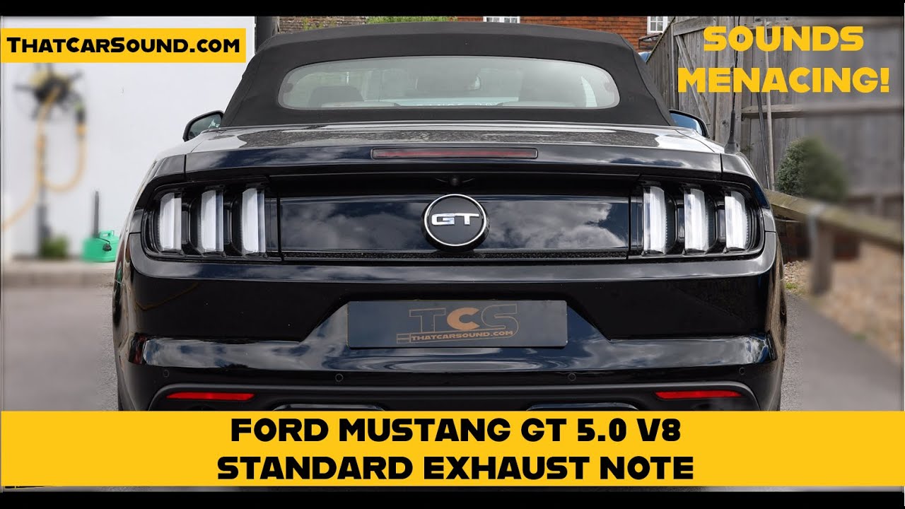 Ford Mustang GT 5.0 V8 | Revving | Engine Note & Exhaust Sound - YouTube