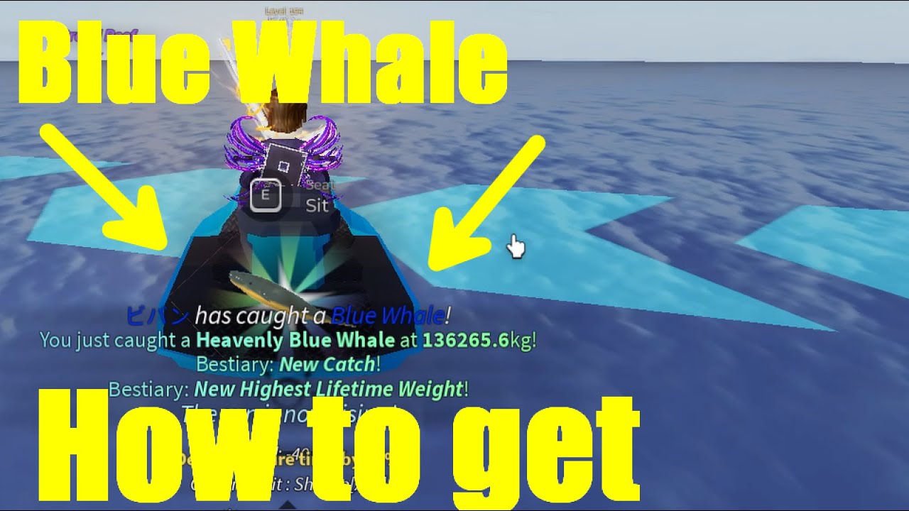 FULL GUIDE to Catch BLUE WHALE SHOWCASE in Fisch! (Roblox Fisch Moby ...