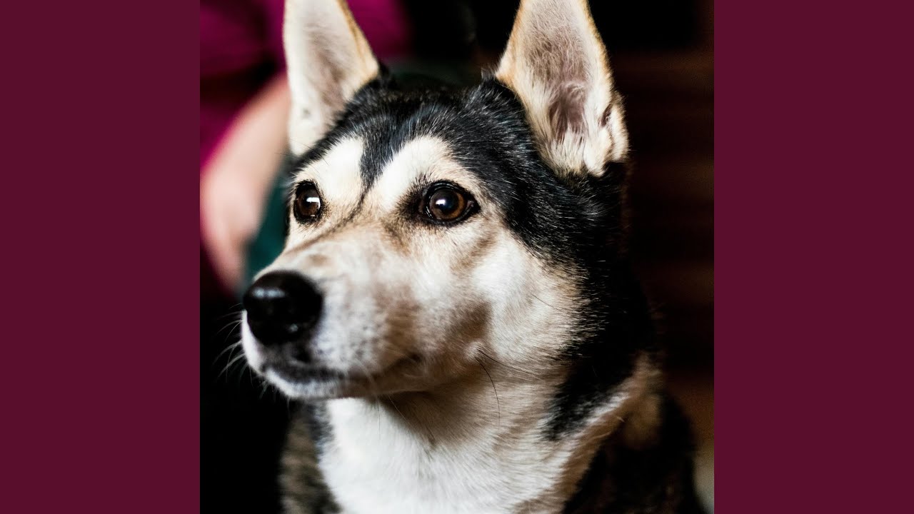 Ben Smells Like a Dolphin Fart - YouTube