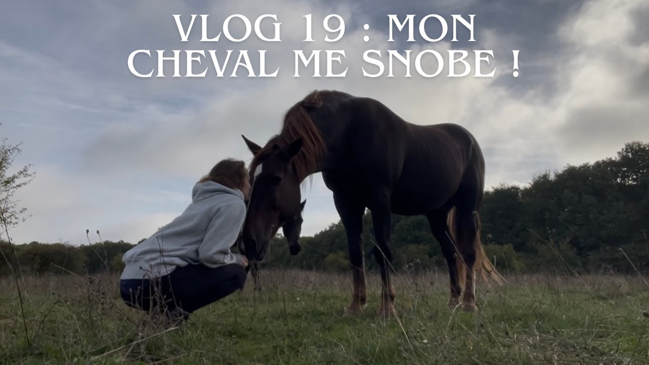 VLOG 19 : mon cheval me snobe ! 😆 #cheval #journaldebord #tap - YouTube