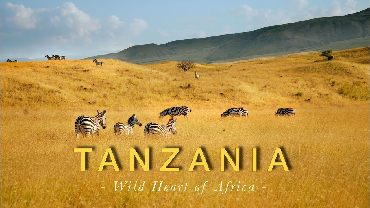 Tanzania 4K | Amazing Journey Into the Wild Heart of Africa - YouTube