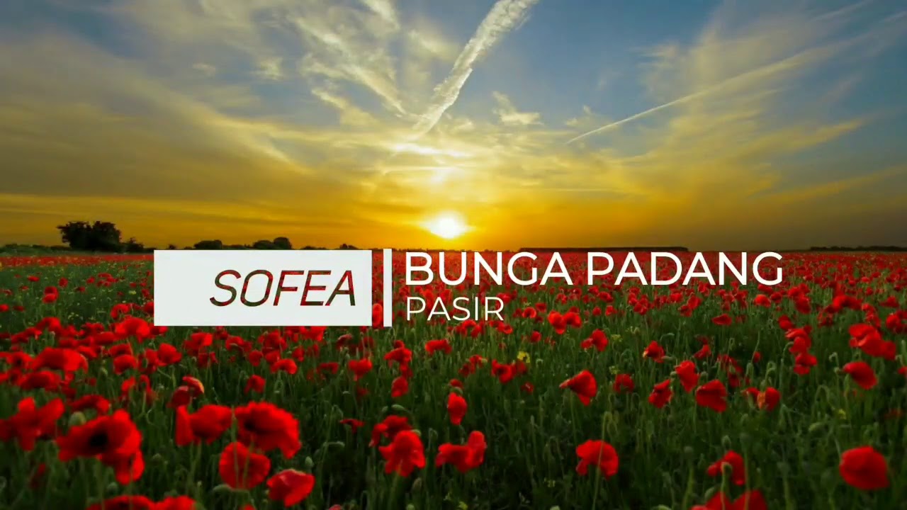 Bunga Padang Pasir Intro , Mid & Ending Solo Backing Track - YouTube