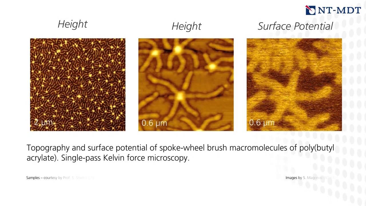AFM gallery of local electromagnetic properties images NT-MDT - YouTube