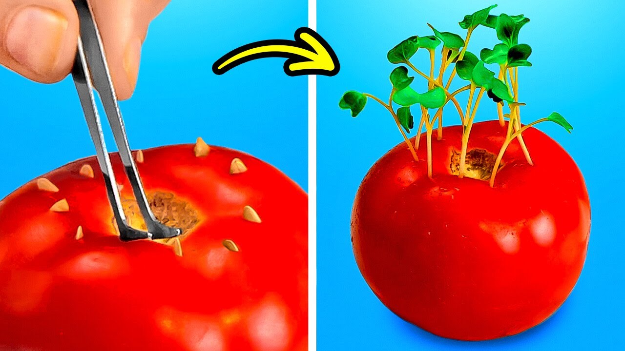 Effective Gardening Hacks For Everyone - YouTube