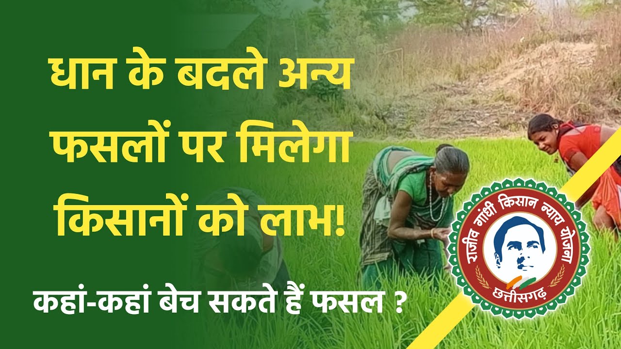 Cg Kisan News Subsidy cg-kisan-news-subsidy