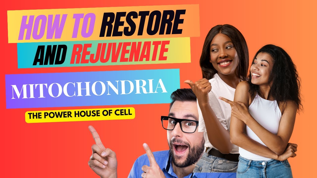 How To Restore and Rejuvenate Your Mitochondria - YouTube