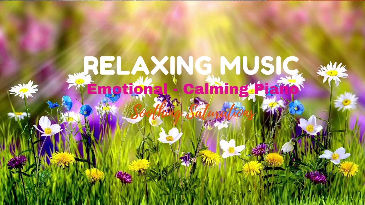 Beautiful Spring Flowers Field-Nature Relaxation-Calming Piano Music ...