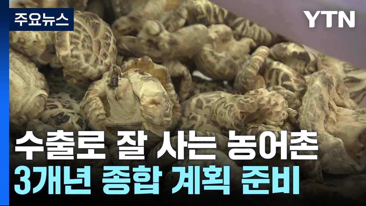 '수출로 잘 사는 농어촌'...장흥군, 3년 내 500억 목표 / YTN - YouTube