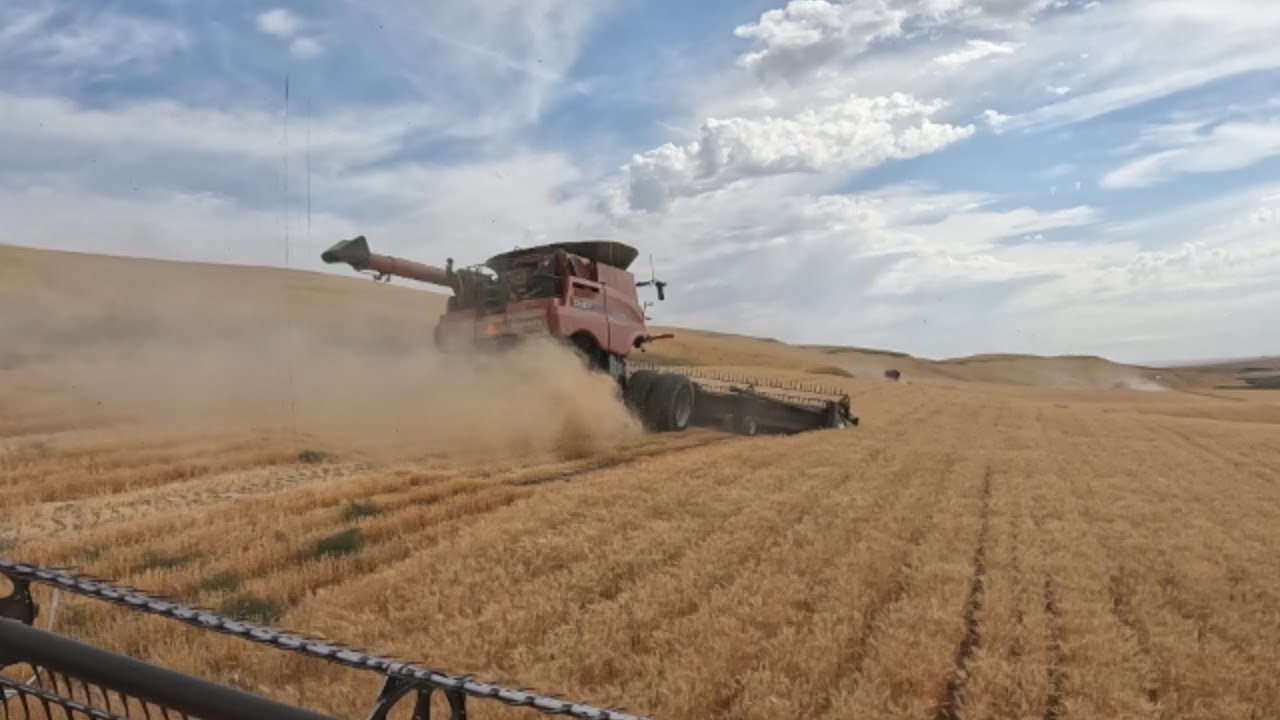 Following a combine - Grain Hogs S02E12 - YouTube