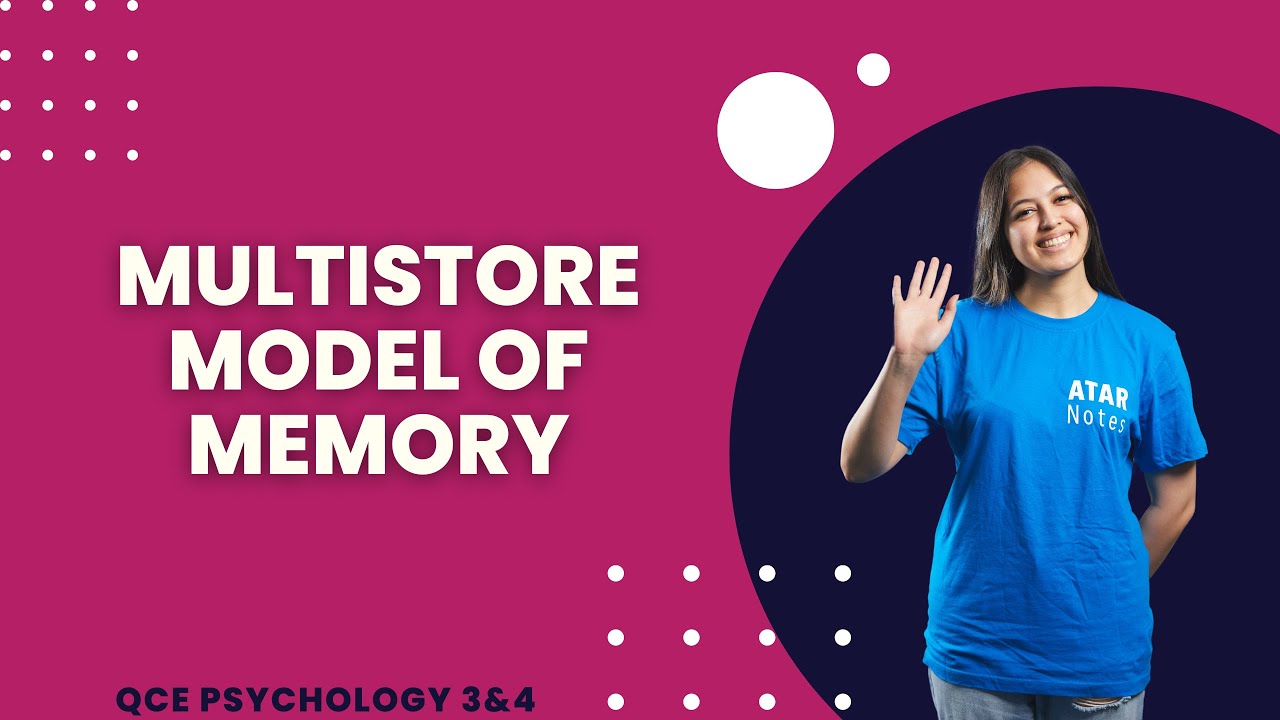 Multistore Model of Memory| QCE Psychology 3&4 - YouTube