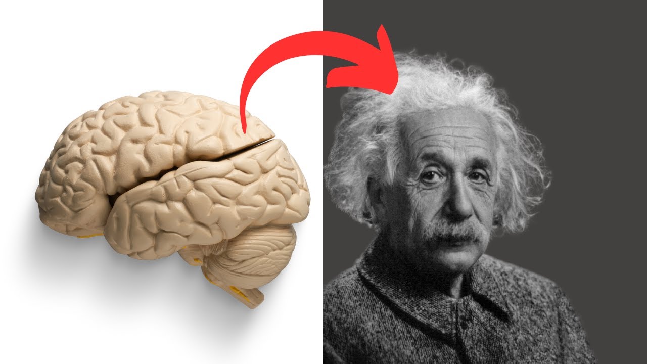 The Genius of Albert Einstein: Exploring the Life and Legacy of the ...