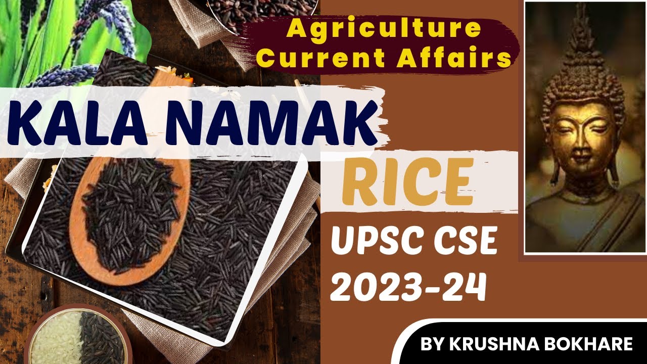 Kala Namak Rice I Agriculture Current Affairs I UPSC CSE | Budhha Rice ...