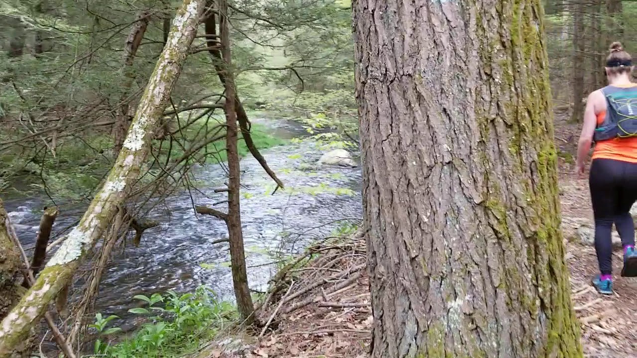 The Natchaug Trail Guide - Bigelow Brook - YouTube