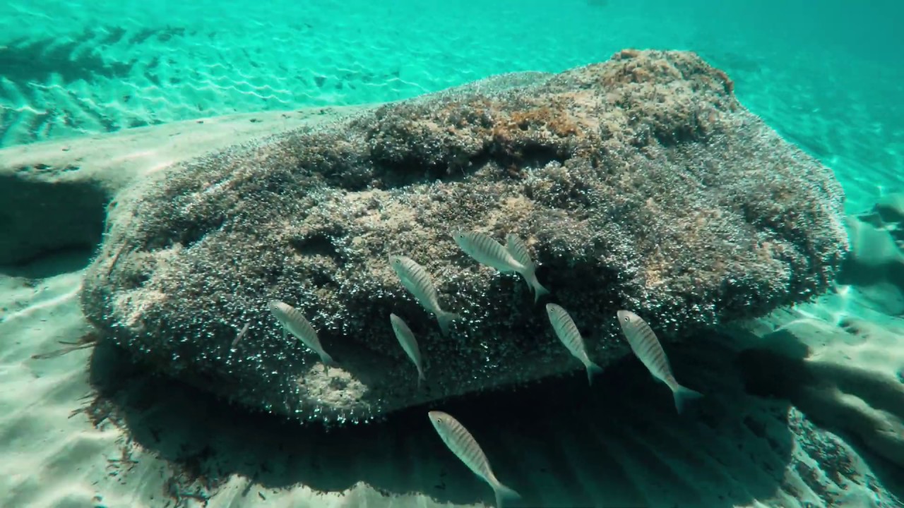 CORAL BAY Crystal Water | SNORKELING | Paphos (Pafos) CYPRUS | Travel ...