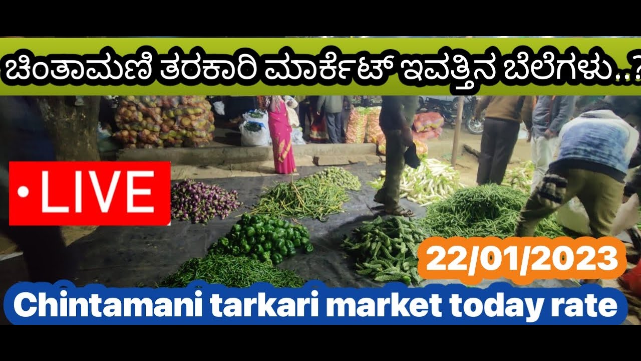 | Chintamani tarkari market today rate.? 22/01/2023 ಚಿಂತಾಮಣಿಯಲ್ಲಿ ...