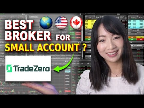 TradeZero Trading Platform Review - ZeroPro